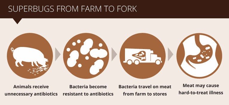 Scott's Web Log: 1/1/14 - 2/1/14